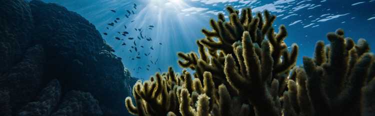 Methods | Marine Protection Atlas